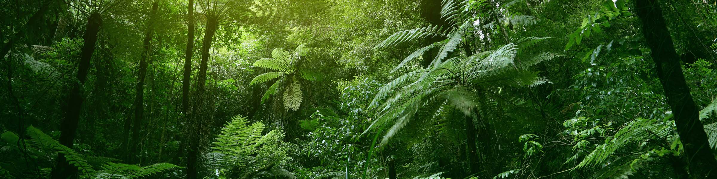 Helping Tackle Climate Change | Cardly